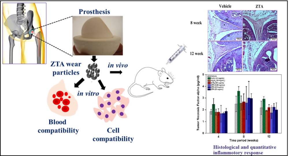 ImageJ=1.48c – Welcome to Prof. Bikramjit Basu's Research Group