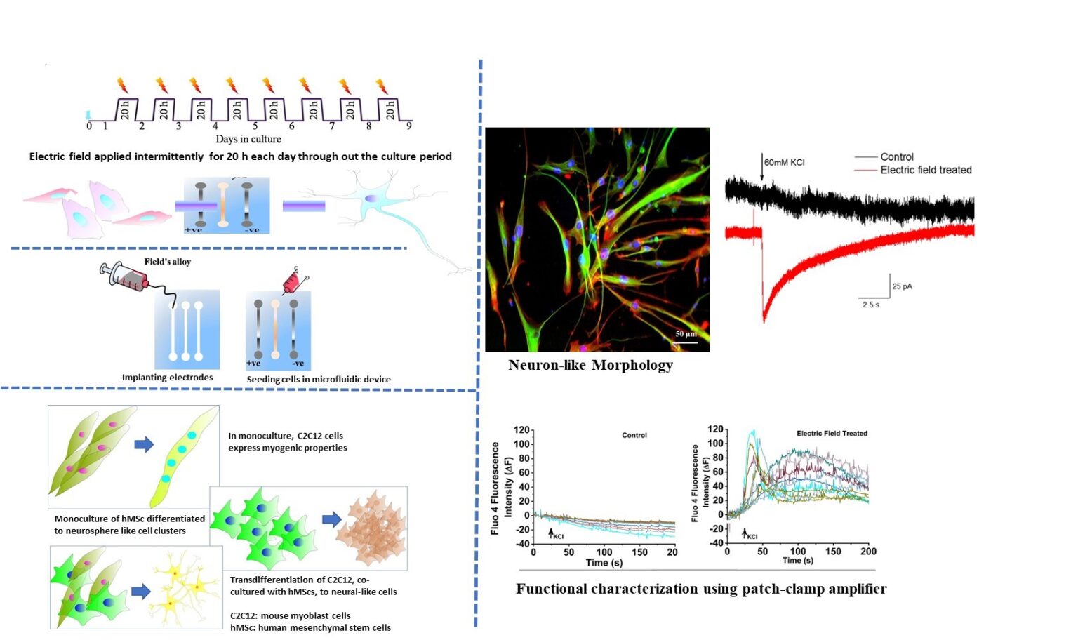 Biomaterials – Welcome to Prof. Bikramjit Basu's Research Group